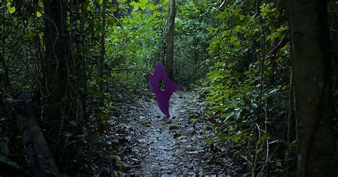 Problemista Monument To Possibilities Puzzle Pieces Album On Imgur