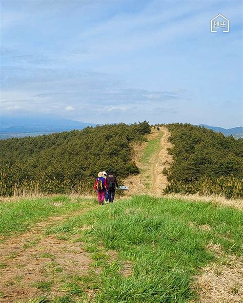제주도 한달살기 제주도여행 제주도 숙소 멘또 3월에 가면 좋은 제주의 예쁜 오름 중 초입 오름 계단 포토존으로