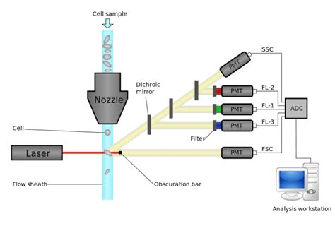 Difference Between Flow Cytometry And Facs Compare The Difference Between Similar Terms