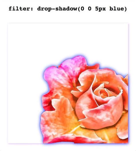 5 Css Properties You Should Know