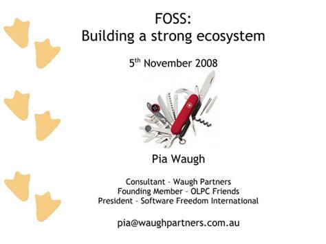 Building A Strong Open Source Ecosystem Lessons From Around The World Pdf Shareware And