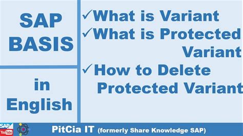 How To Delete Protected Variant In Sap Hana What Is Variant Which Table Variant Store