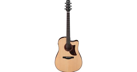 Ibanez 6 String Acoustic Electric Cutaway Guitar Aad300celgs