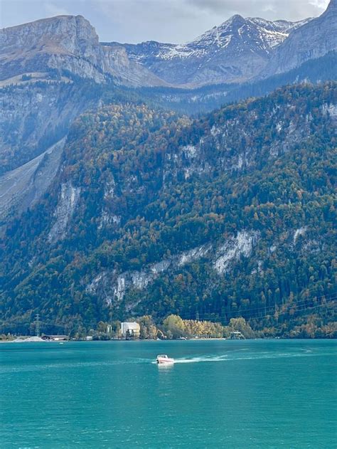 🇨🇭스위스 8박9일 여행 일정 총정리 ️ 트립닷컴 스위스