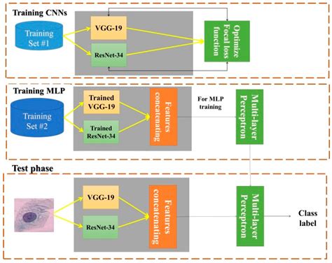 Diagnostics Free Full Text Developing A Tuned Three Layer