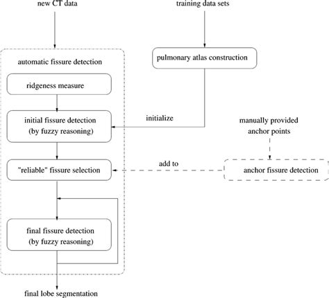 Diagram Of The Lobar Fissure Detection Scheme Detection Is Initialized Download Scientific