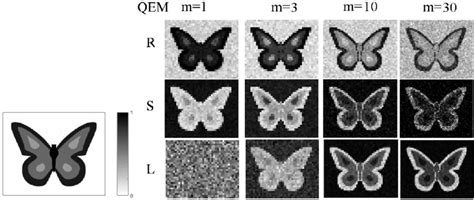 Expected images of a phase object with α 0 7 inset phase varies from Download Scientific