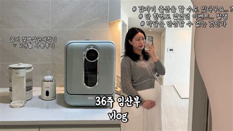 막달 임산부 브이로그 갑자기 혈압이 높아진 막달 임산부 매일매일 혈압체크하는 임산부 일상 꿈비 젖병살균세척기 2개월 사용후기 공유 Youtube