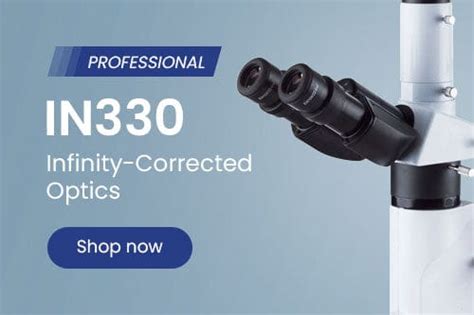 4 Microscope Slide Mounting Techniques For Beginners Amscope