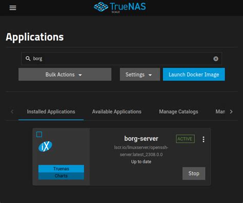 Borg Backup Server On Truenas Scale Alexandre De Verteuil