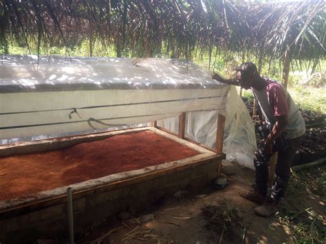 Nos Services Actum Dev