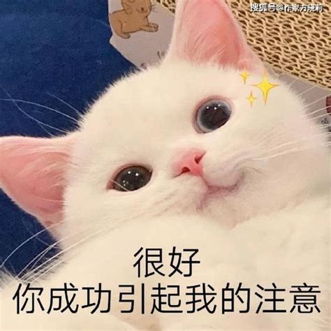 搜狗图片搜索