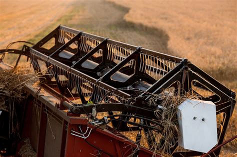 농업 기계 농업 산업 결합 수확기는 숙성 밭의 배경에 대해 잘 익은 밀의 황금 귀를 제거합니다 풍성한 수확을 심고 수확하는 개념