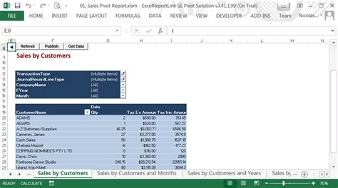 ExcelReportLink Sales Pivot Solution Accounting Addons