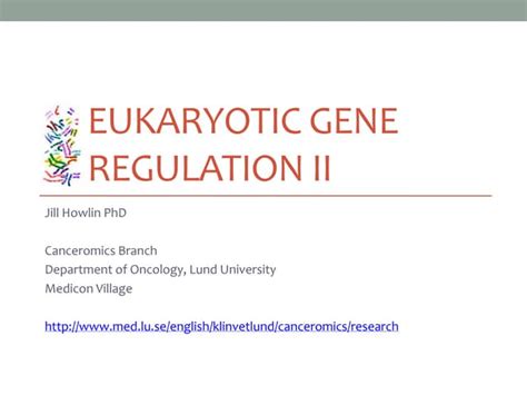 Eukaryotic Gene Regulation Part Ii 2013 Pptx