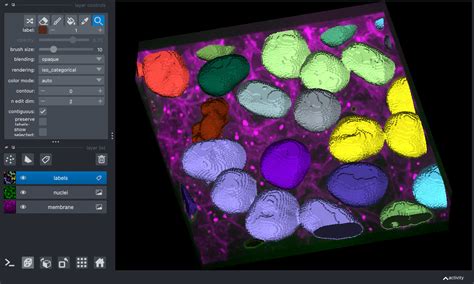 Labels Opaque Blending Does Not Persist After Click To Canvas · Issue 5319 · Naparinapari