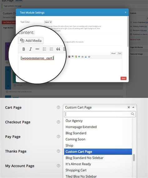 On The Third Day Of Divi We Unlock The Simple Power Of The Text Module