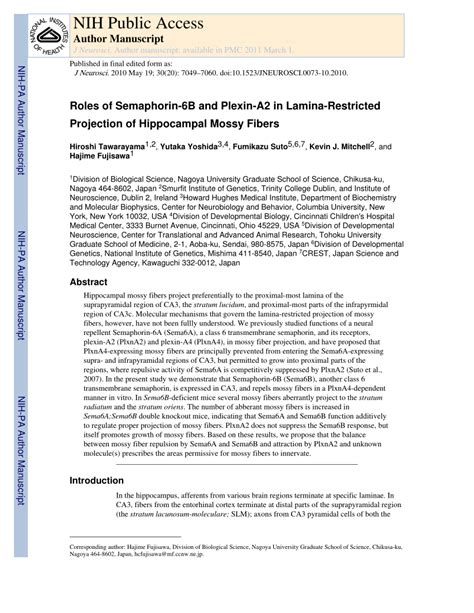 Pdf Roles Of Semaphorin 6b And Plexin A2 In Lamina Restricted Projection Of Hippocampal Mossy