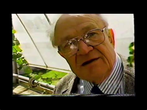 Understanding Sex 1997 Thevhsfiles