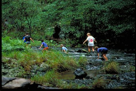 Aquatic Ecosystems Wet Tropics Management Authority