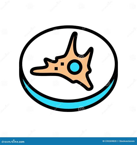 Fibroblast Cell Structure Connective Tissue Cell Vector Illustration