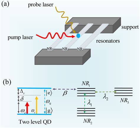 A Schematic Diagram Of The Hybrid Quantum System Where One NR With A Download Scientific