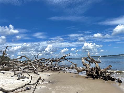 Boneyard Beach Big Talbot Island Jacksonville Fl Taken With Iphone
