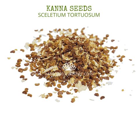 Kanna Seeds Naturalether Llc