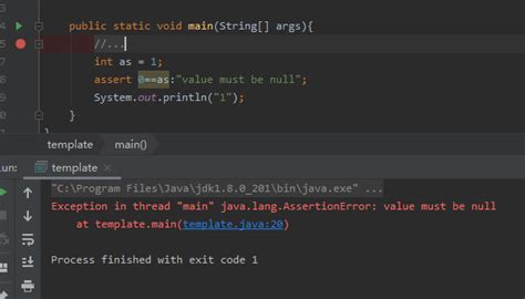java断言 永不熄灭的火 博客园