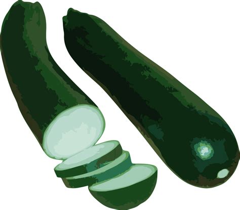 Free Zucchini Cliparts Download Free Zucchini Cliparts Png Images