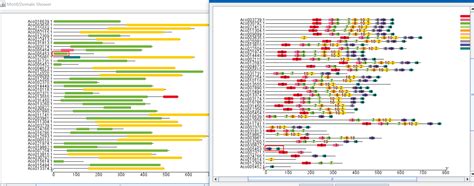 Tbtools基因家族分析详细教程 2 基因家族成员的基本分析 腾讯云开发者社区 腾讯云