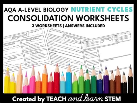 Nutrient Cycles Summary Worksheets AQA A Level Biology Teaching Resources