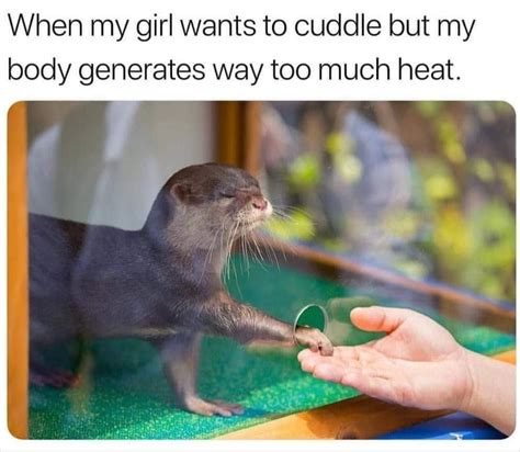 Cute Meme Subido Por Nicky Ta Memedroid