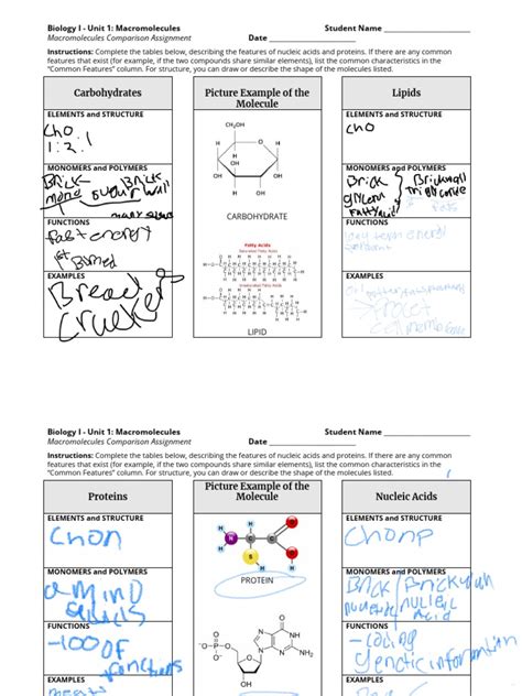 Biology 1 Unit 1 Macromolecules Chart Pdf Macromolecules
