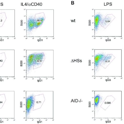 Ig Class Switch Recombination In Absence Of The 59igh Dnasei Download Scientific Diagram