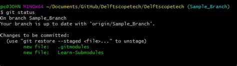 List Git Submodules Delft Stack