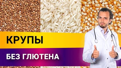 Крупы без глютена. Какие выбрать крупы без глютена? | Диетолог Андрей ...