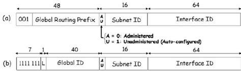 A Global B Local Unicast Address Structures With Administered A Download Scientific