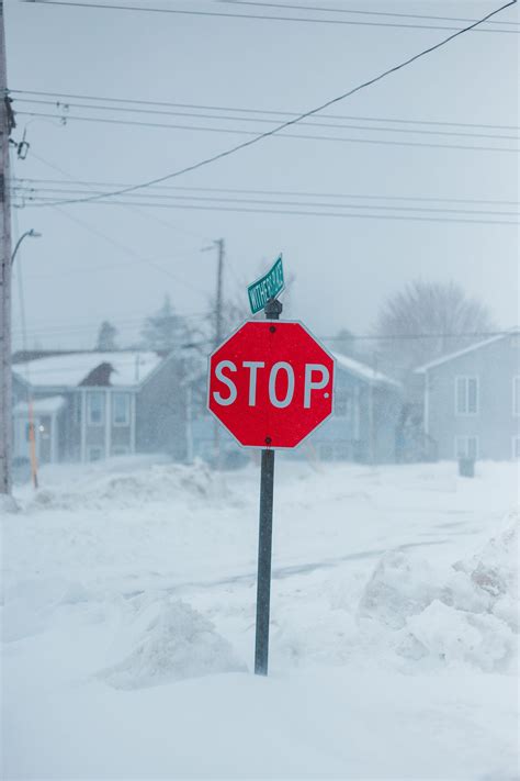 Protect Your Shared Resource Using Multiprocessing Locks In Python By Imran Ali The Startup