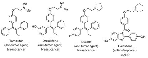 Molecules Special Issue Diversity Oriented Synthesis