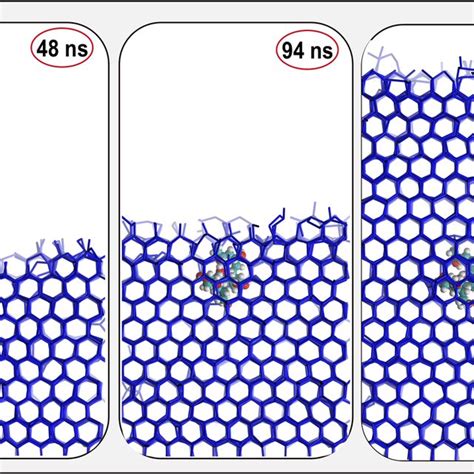 Hydrogen Bonding Between Pva B Pvam Block Copolymers And Ice A