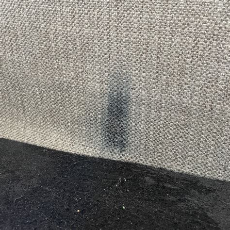 Limpeza De Sofás Está Limpo