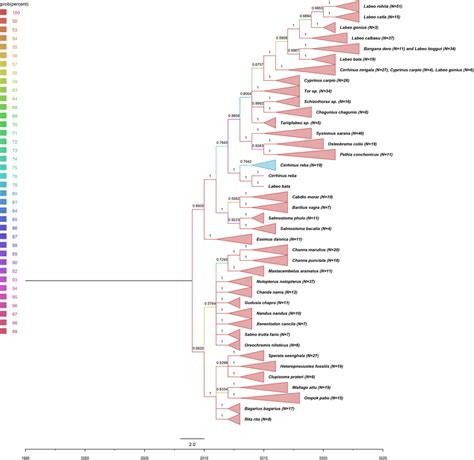 Bayesian Inference Bi Consensus Tree Based On 688 Coi Barcodes Under Download Scientific