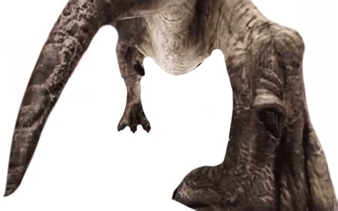 Tina Rex Run By Dracoawesomeness On Deviantart