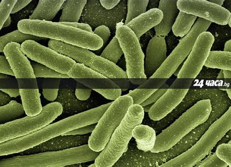 Започна разследване след смъртта на 6 деца в румънска болница