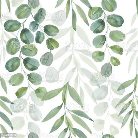 수채화 우아한 유칼립투스 가지가 있는 매끄러운 패턴 실버 달러 껌 유칼립투스 Polyanthemos 꽃무늬 배경 손으로 그린 유칼립투스 가지와 흰색 배경에 분리된 나뭇잎 0
