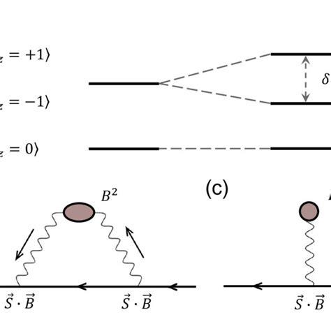 time reversal symmetry in terms of general theory of quantum