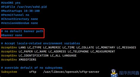 Ssh版本信息可被获取漏洞（原理扫描）解决方法 程序员阿鑫 带你一起秃头