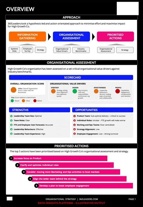 Data Insights Leaders