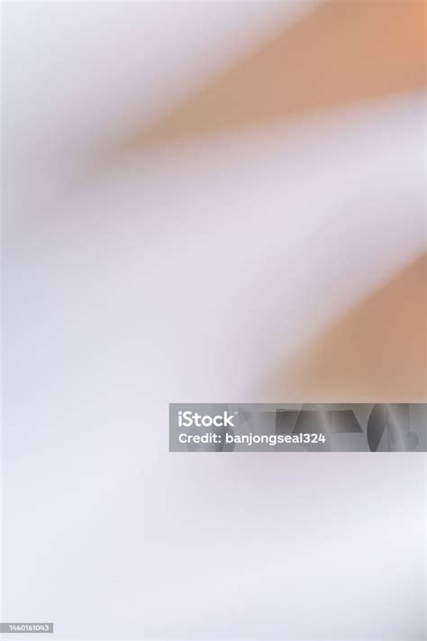 흰색 배경과 그림자 흰 벽에 유기적 그림자 사진 모형 포스터 문구류 벽 예술 디자인 프리젠 테이션에 대한 오버레이 효과 0명에